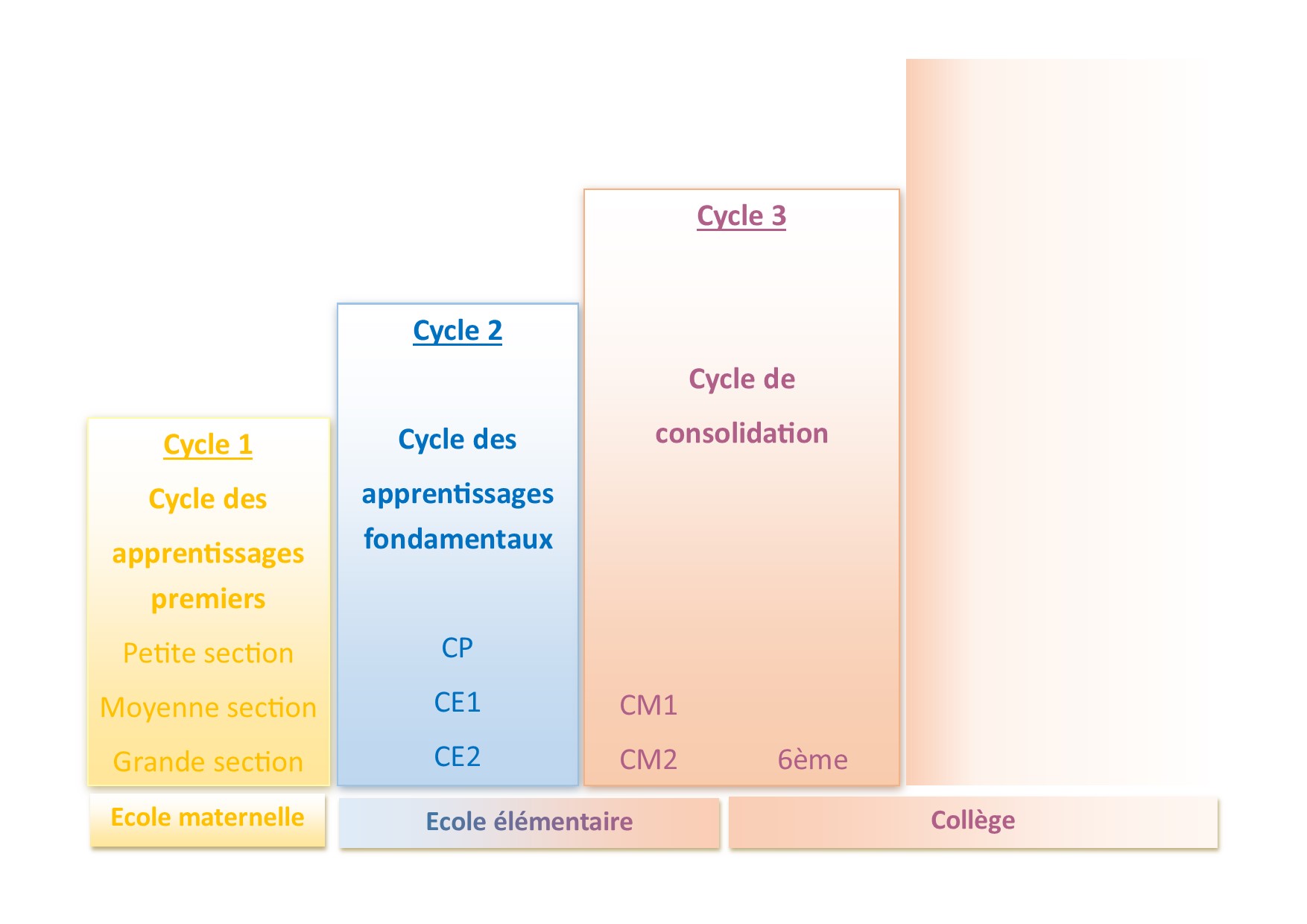Schéma cycles – Maîtres délégués du 1er degré